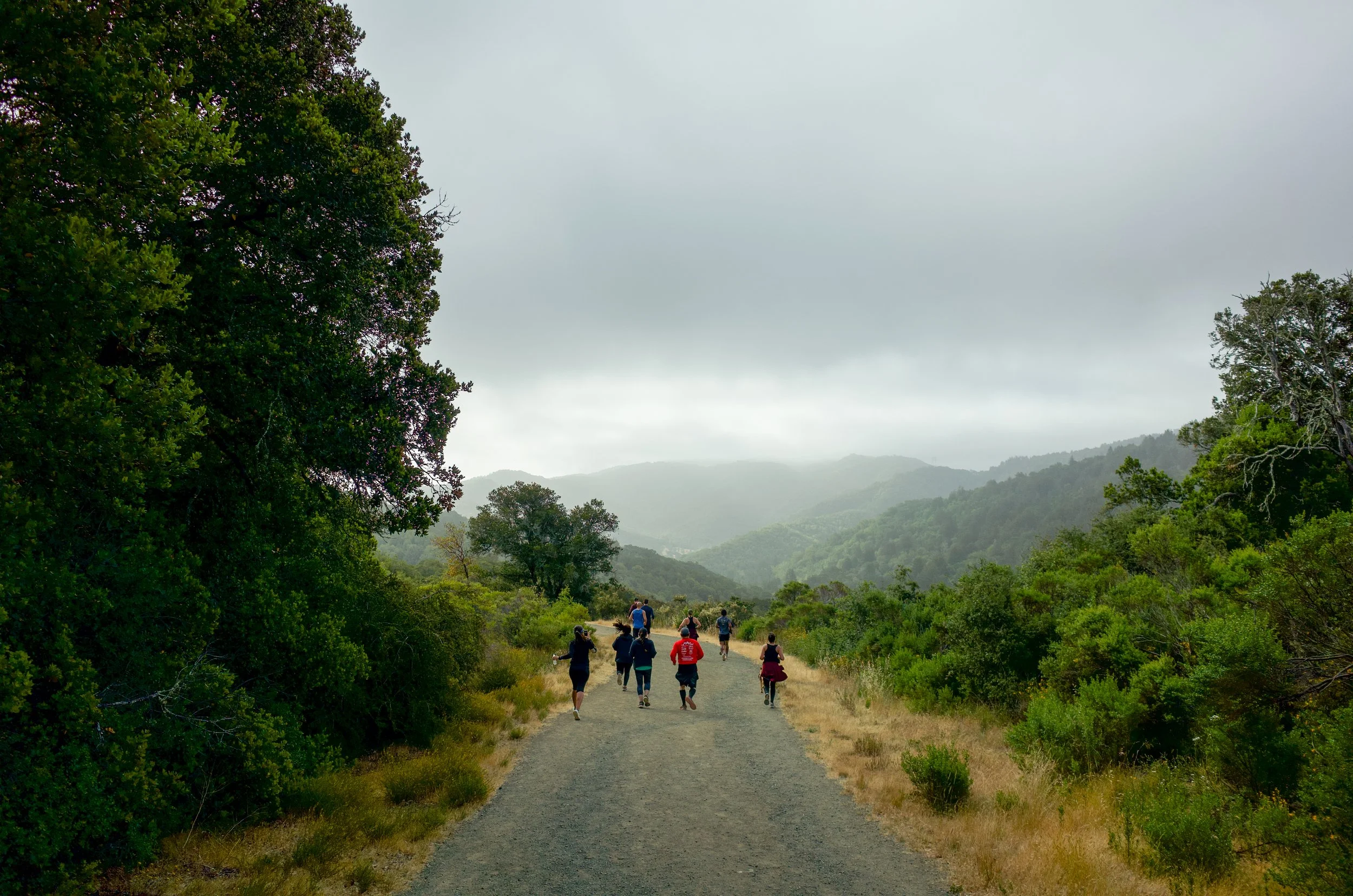 Mt. Madonna Challenge