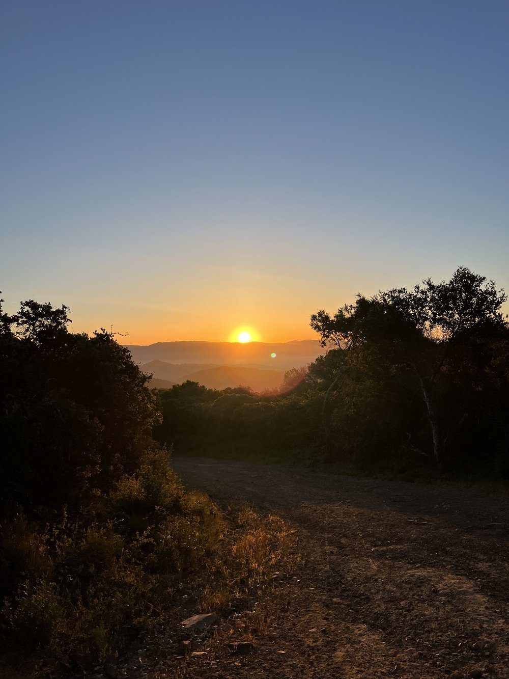 Mt. Madonna Challenge