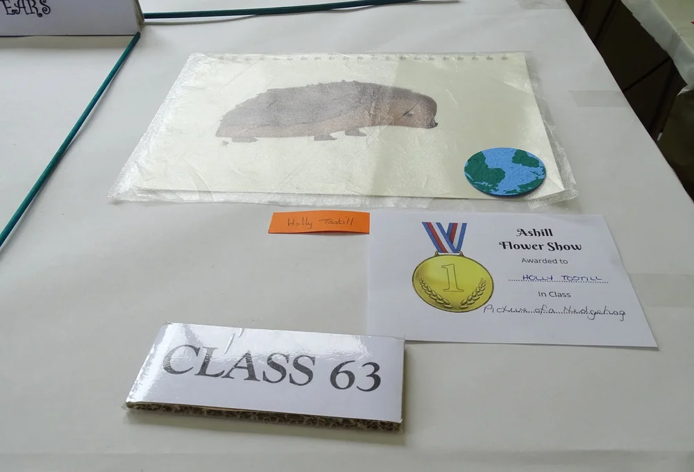 Flower show 2023 — Ashill Village Hall