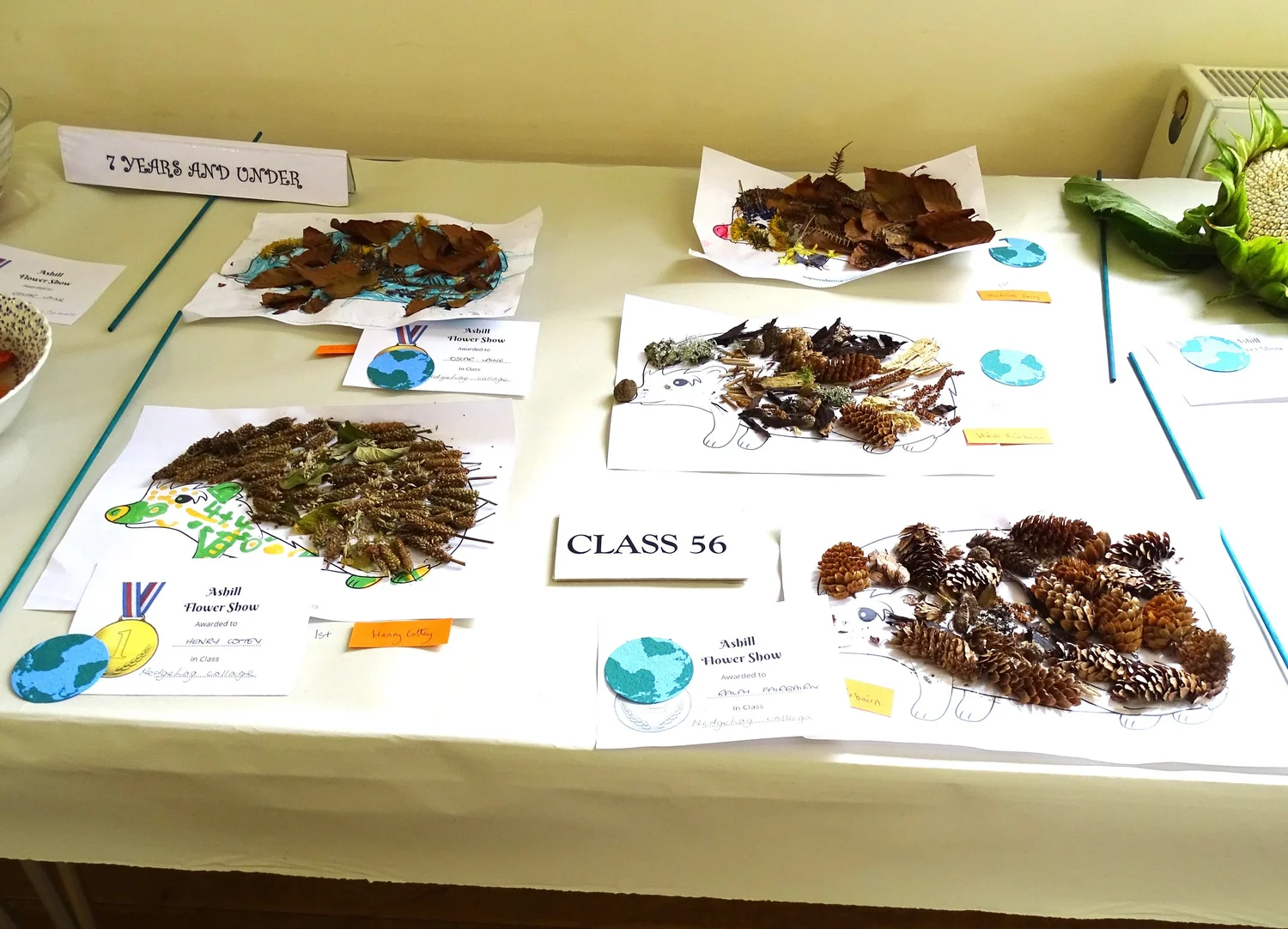Flower show 2023 — Ashill Village Hall