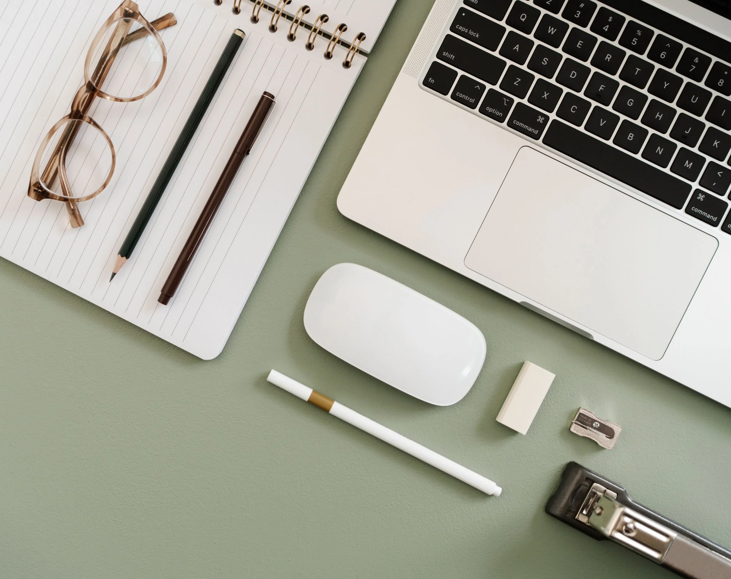 The best business tools and resources for dog trainers: software ...