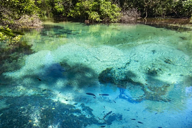 Rio da Prata — Sectur - Secretaria de Turismo e Desenvolvimento ...