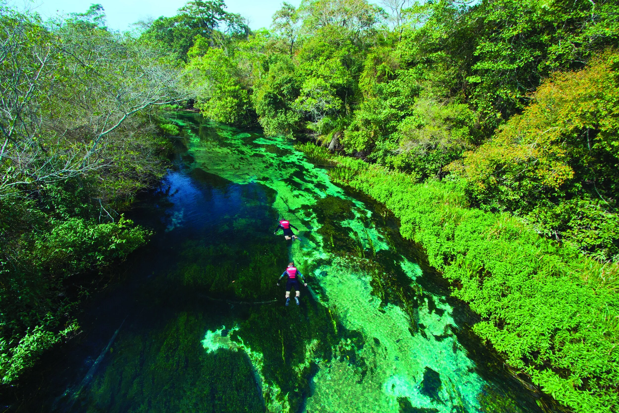 Rio Sucuri — Sectur - Secretaria de Turismo e Desenvolvimento Econômico ...