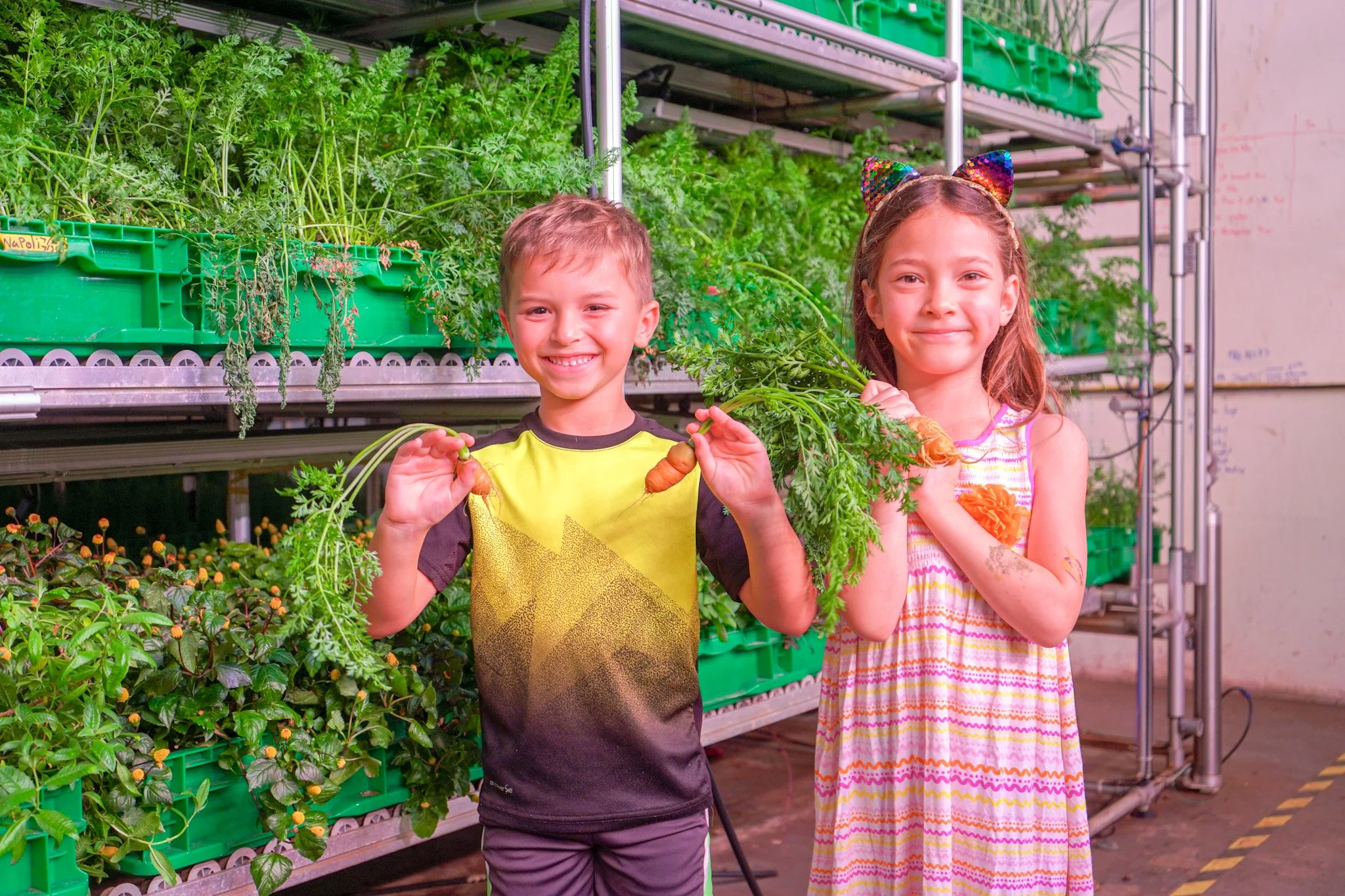 Want Your Kids to Eat More Vegetables? Take Them to the Farm — Area 2 Farms