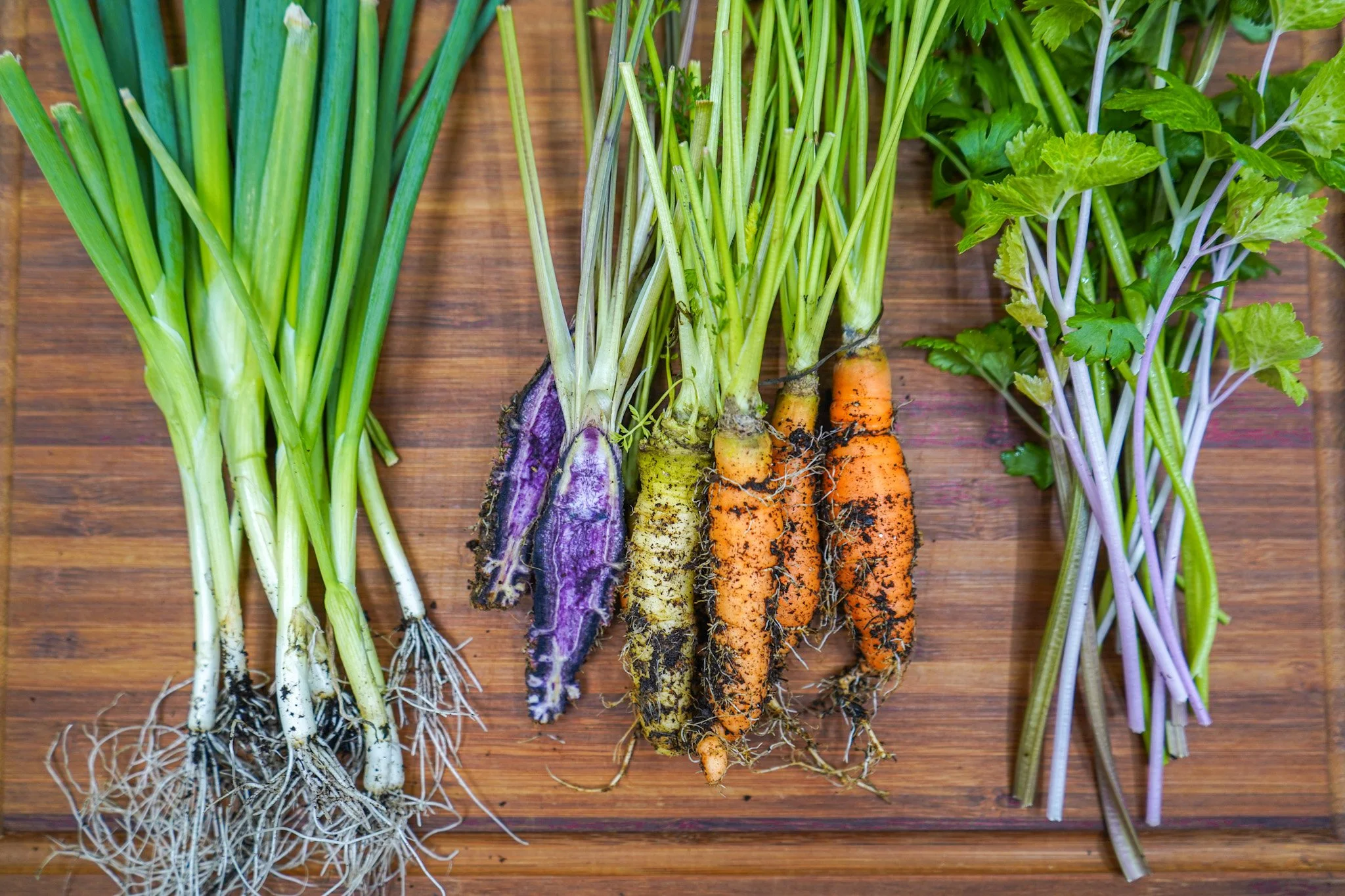 Mirepoix: The Perfect Trio — Area 2 Farms