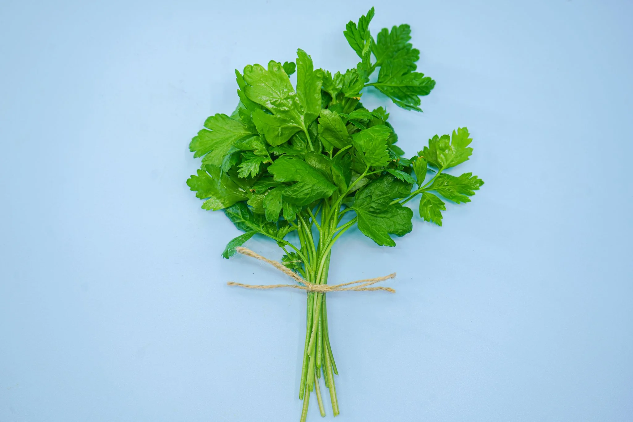 Weekly Harvest Guide 1/19/26 — Area 2 Farms