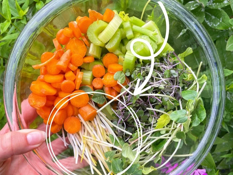 Corn Shoots — Area 2 Farms