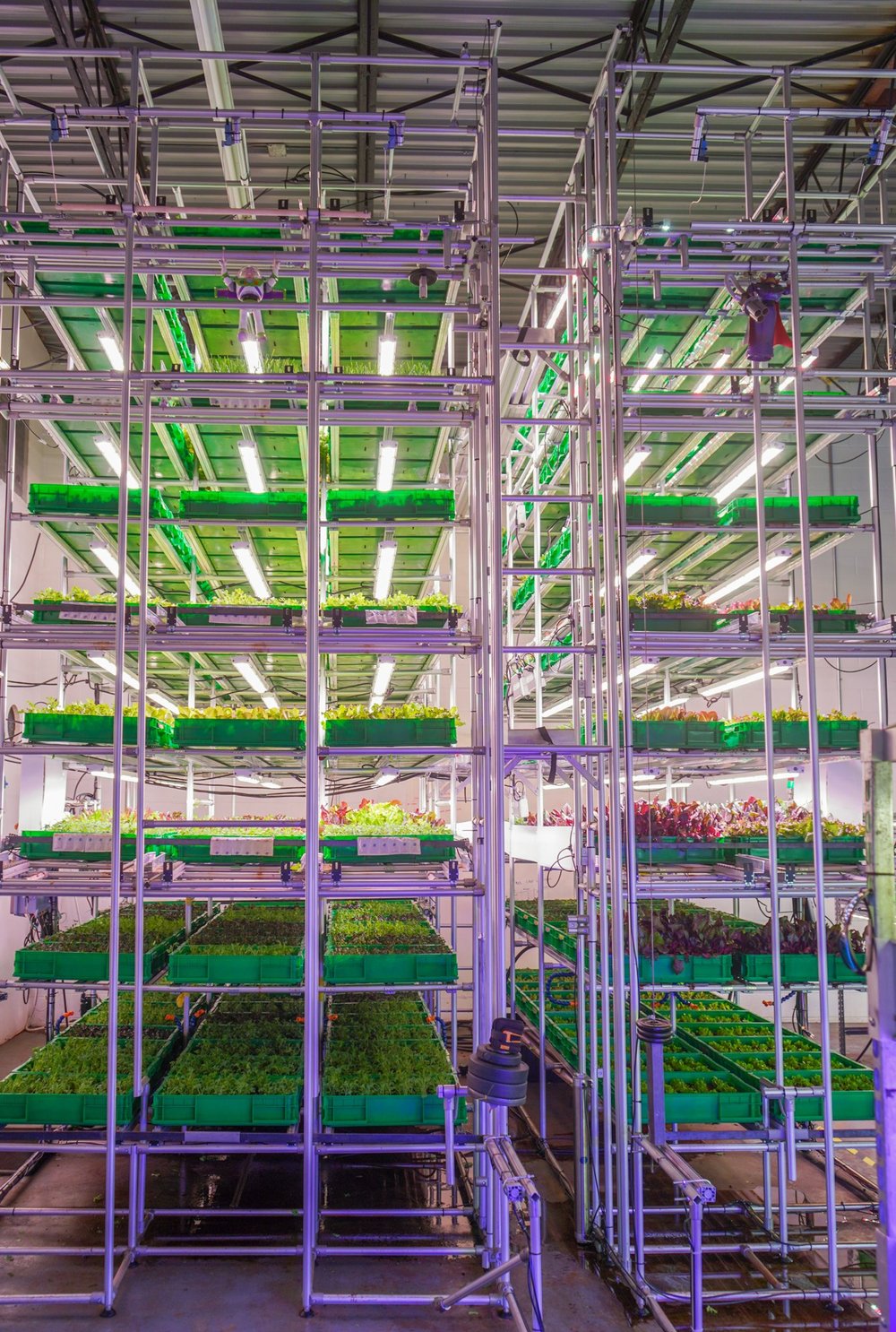 Vertical Farming — Area 2 Farms