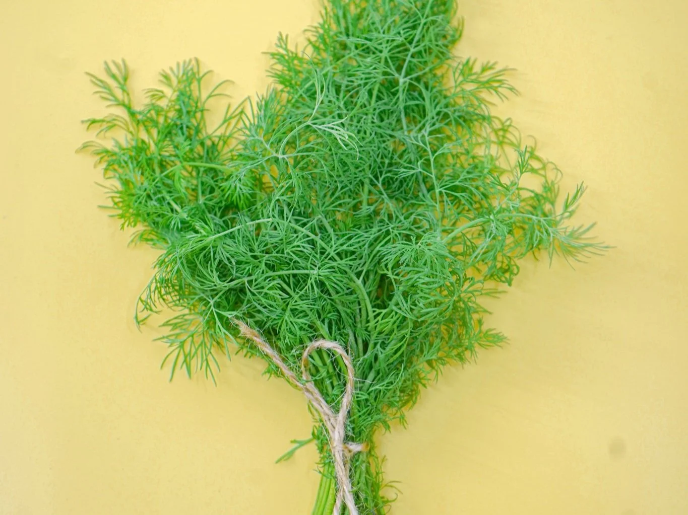 Dill — Area 2 Farms