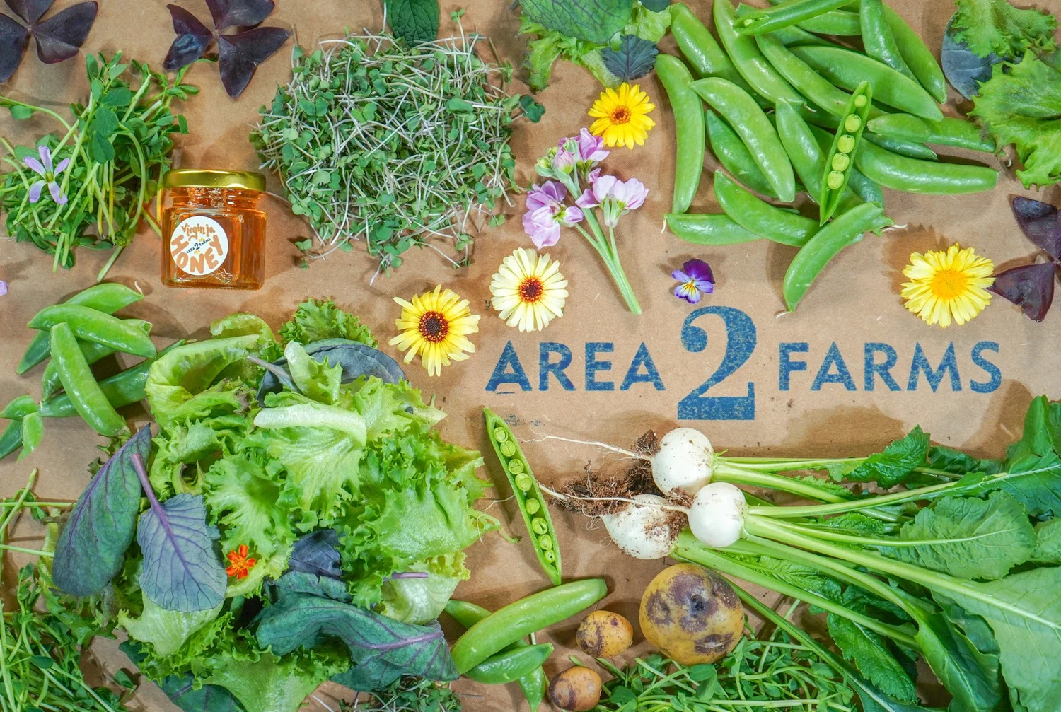 Area 2 Farms: Always Organic, Always Local