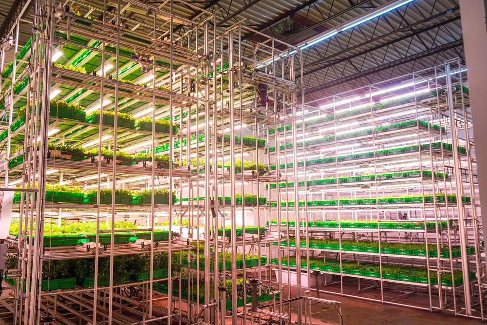 Farming — Area 2 Farms