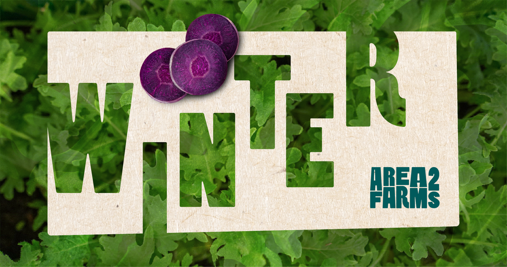 Winter Farms Shares 2025 — Area 2 Farms