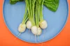Turnips — Area 2 Farms