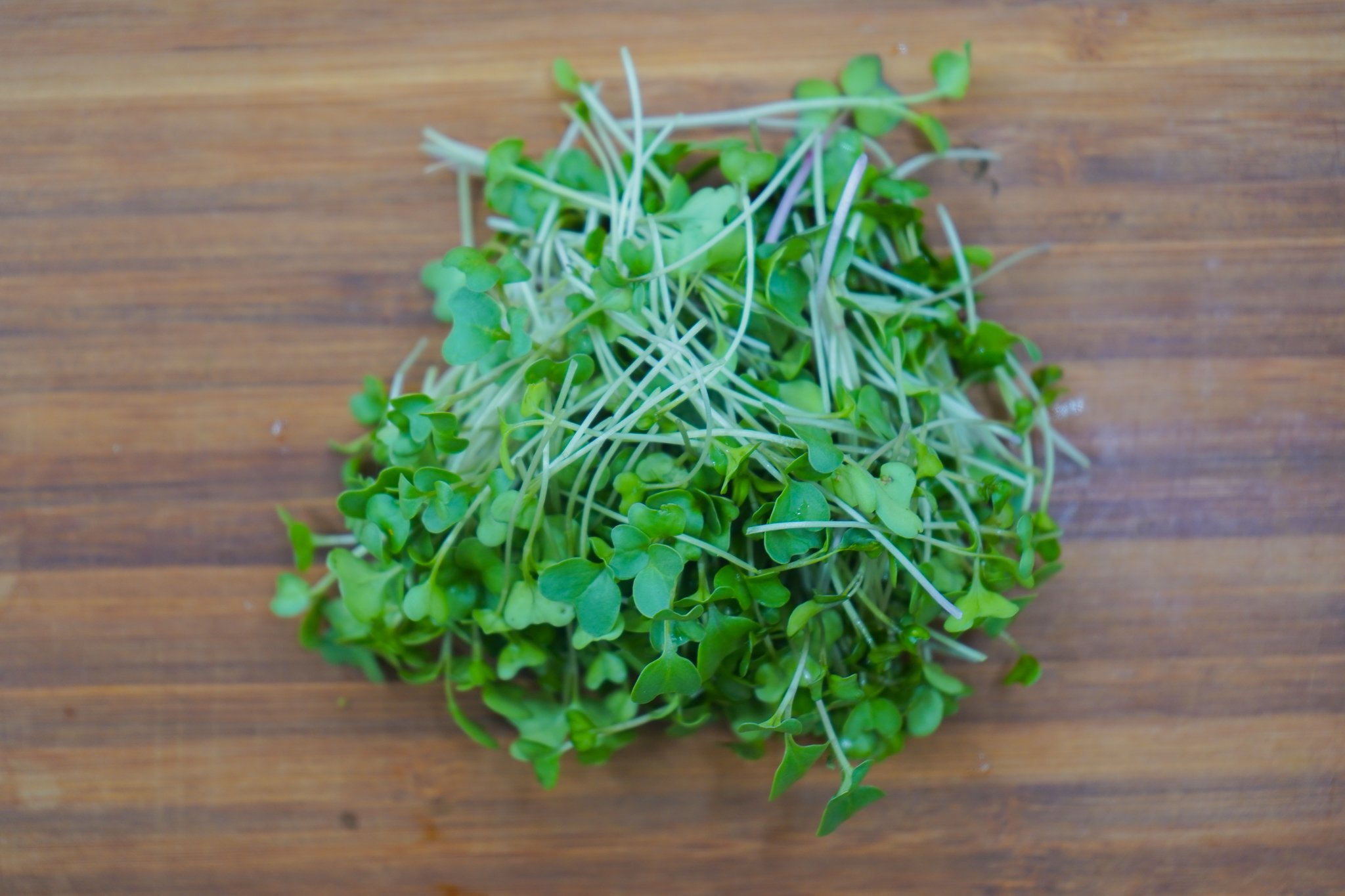 Broccoli Microgreens — Area 2 Farms