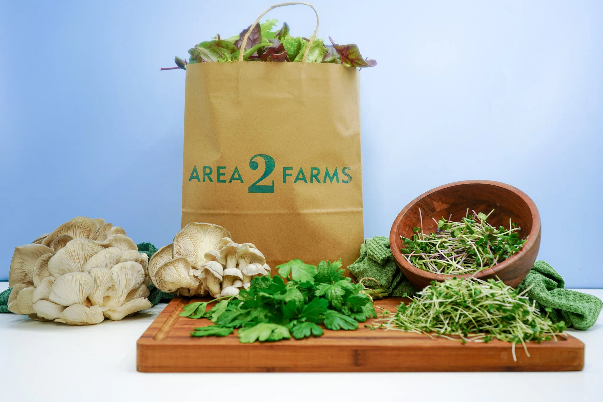 Harvest — Area 2 Farms