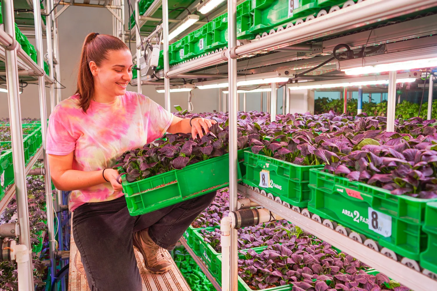 Farmer Feature - Meet Lexa — Area 2 Farms