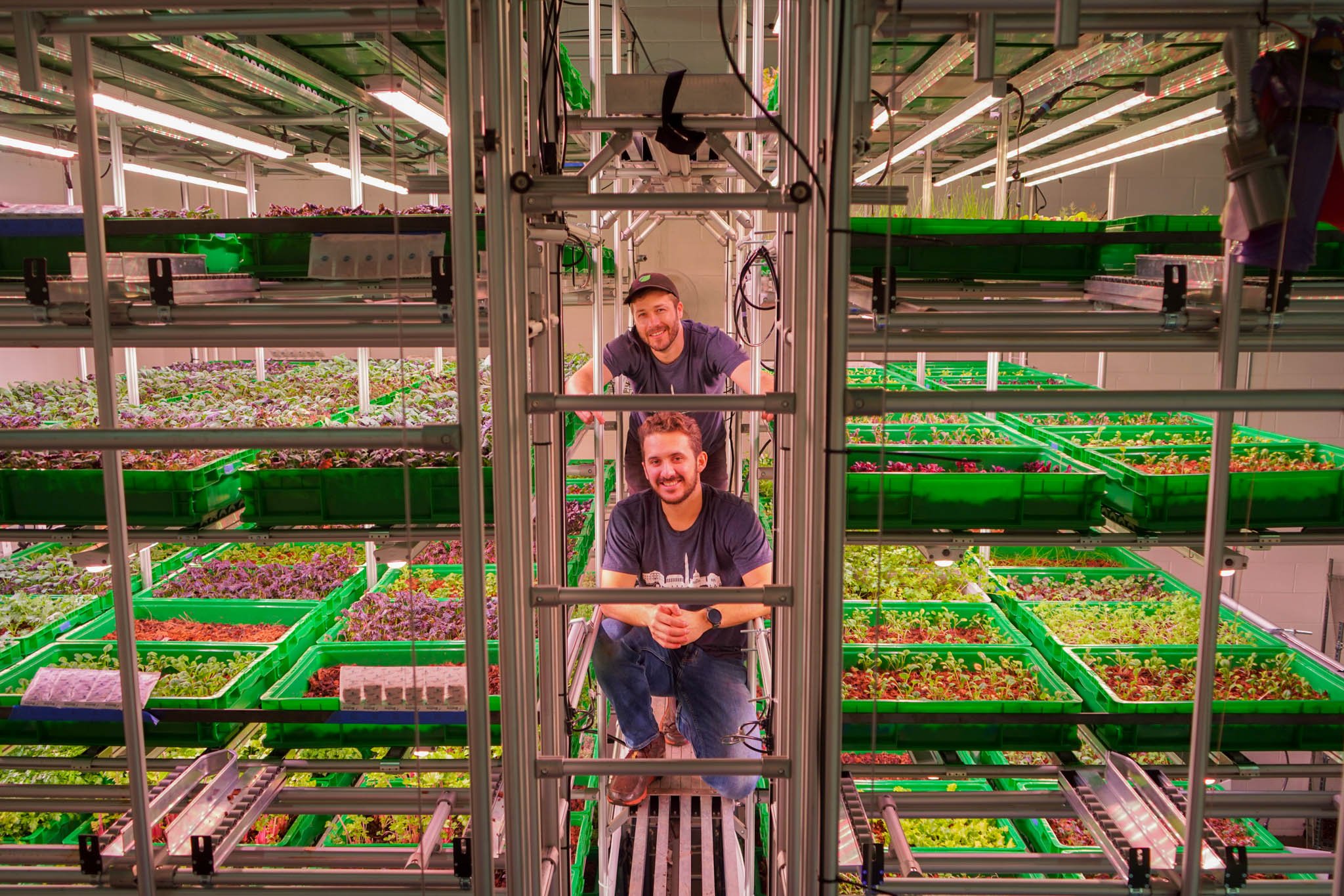 Area 2 Farms, a Public Benefit Corporation