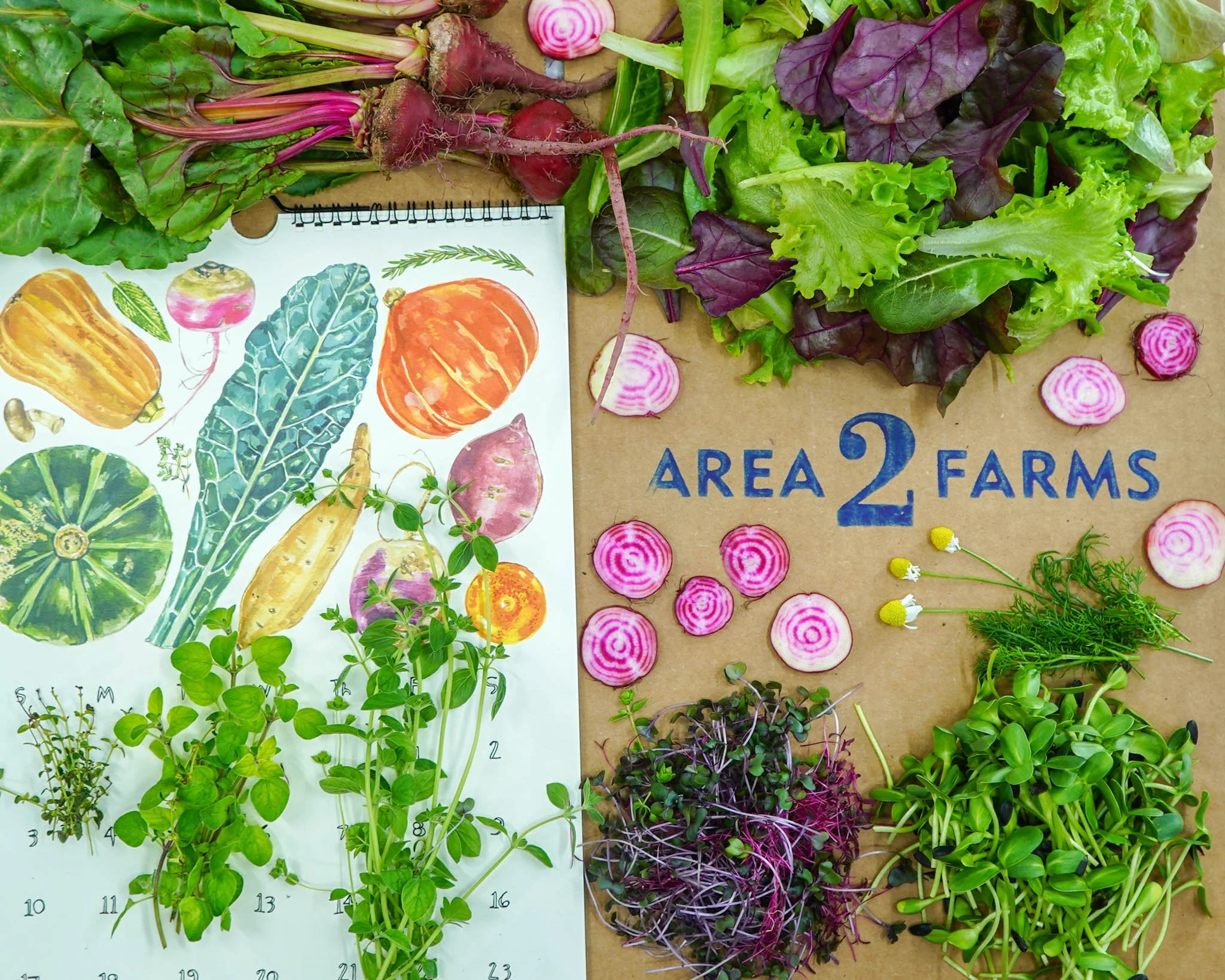 Area 2 Farms, a Public Benefit Corporation