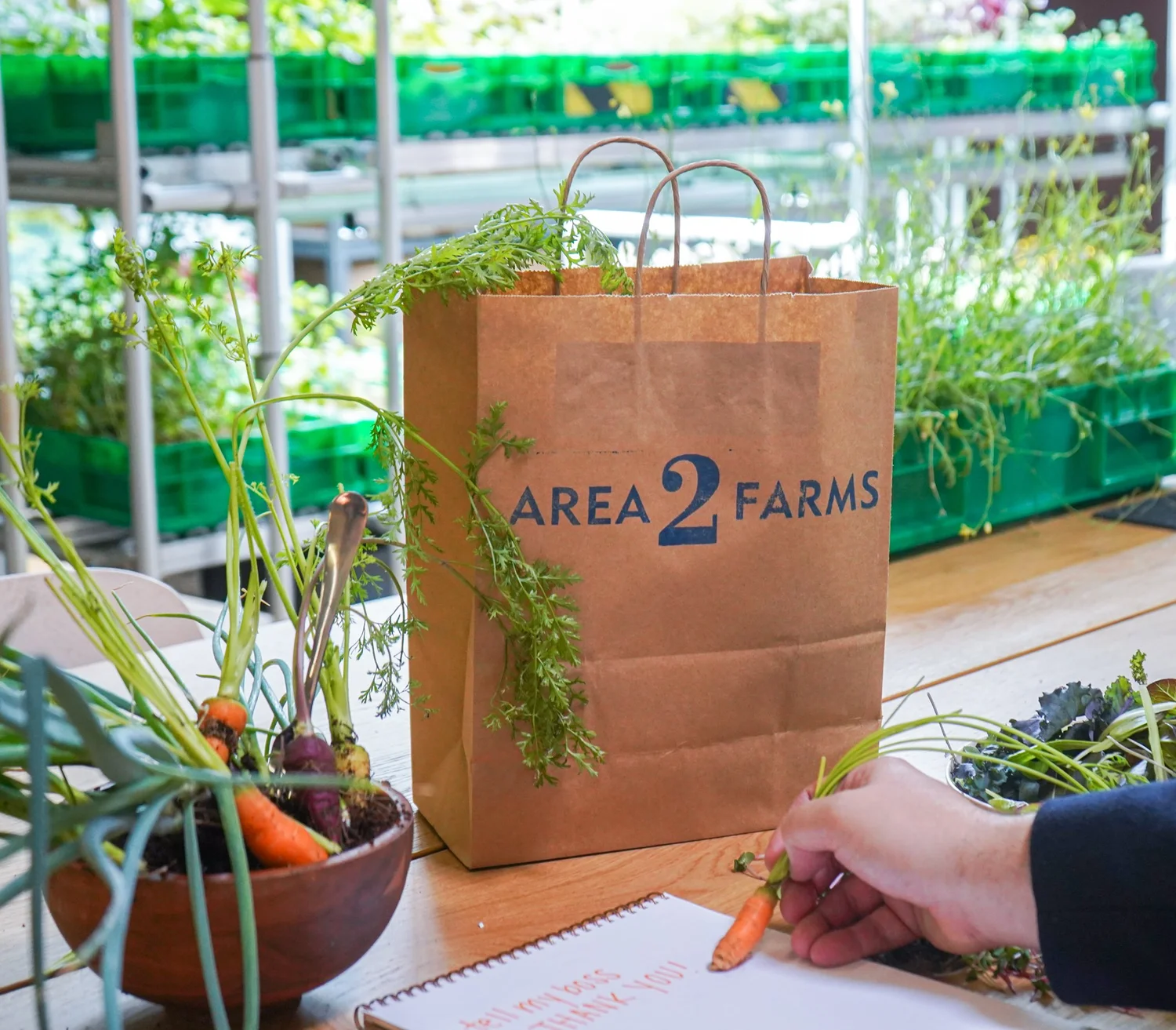 The Office Farm — Area 2 Farms