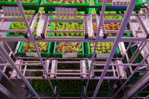 Indoor Farming — Area 2 Farms