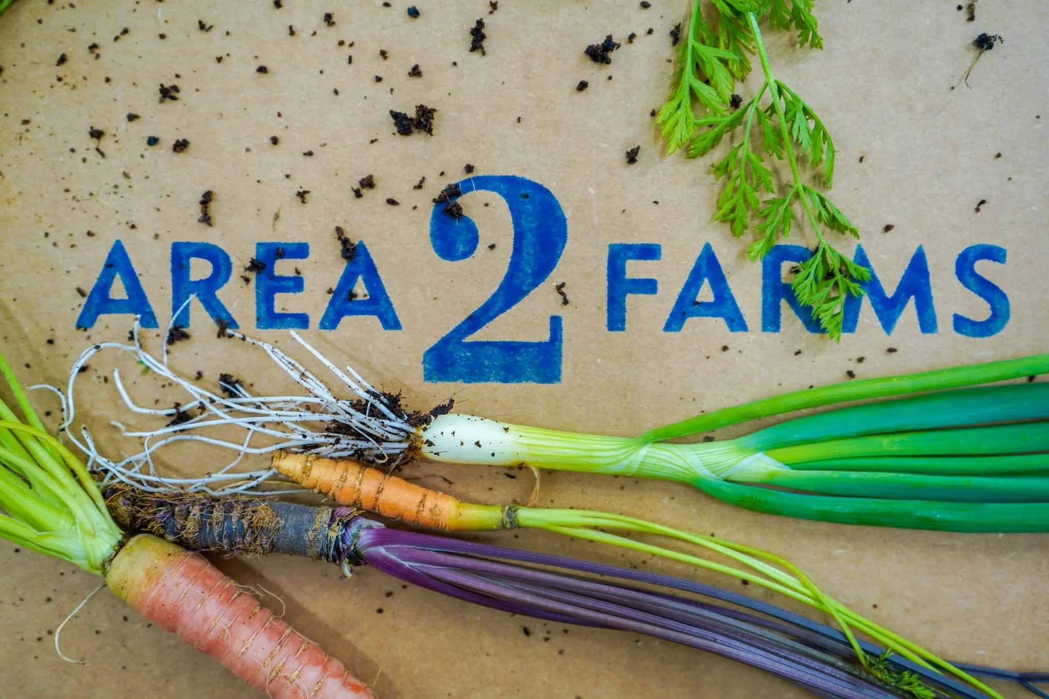 The Magic of Our Soil — Area 2 Farms