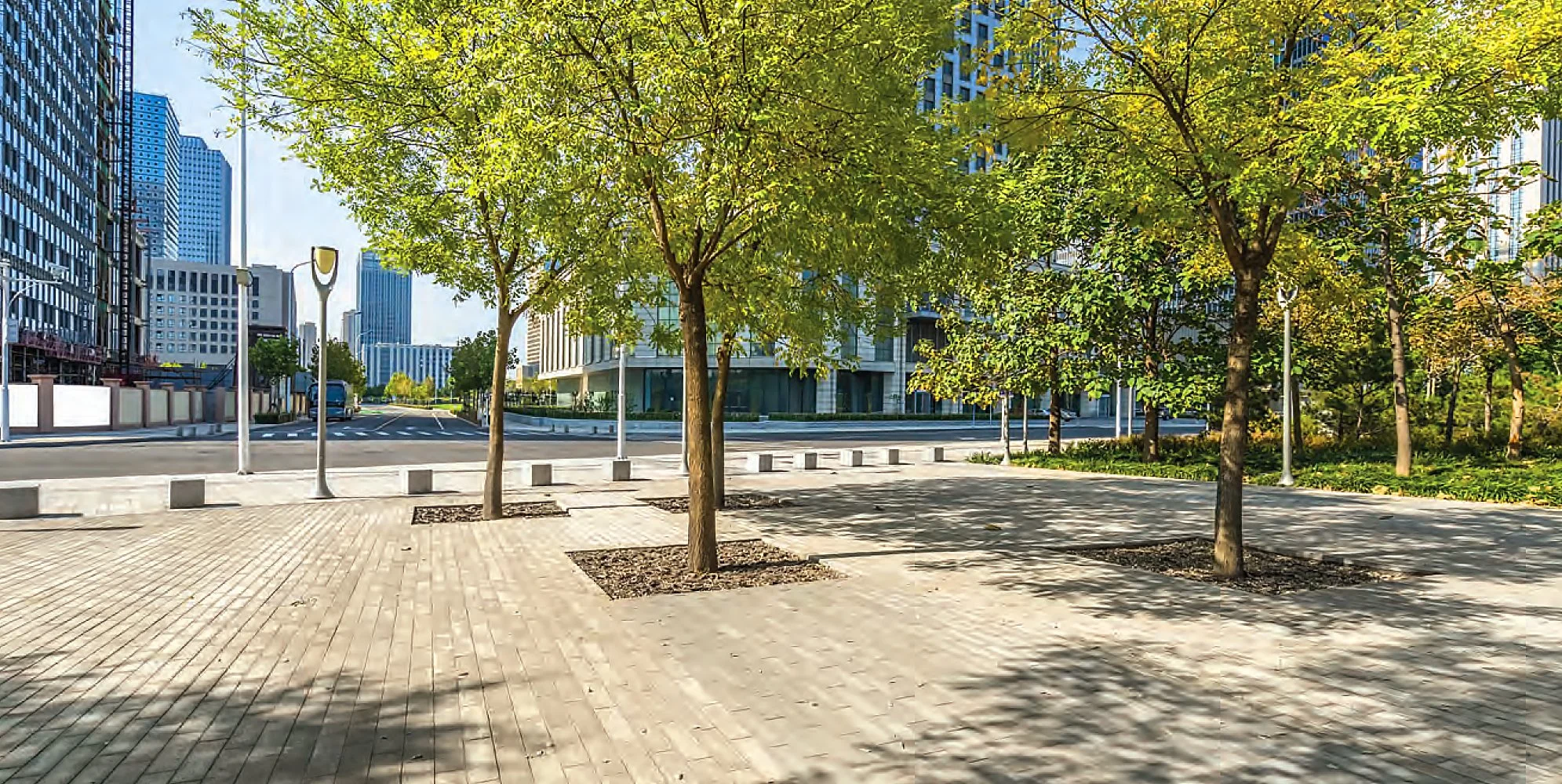 Barrier Root Control