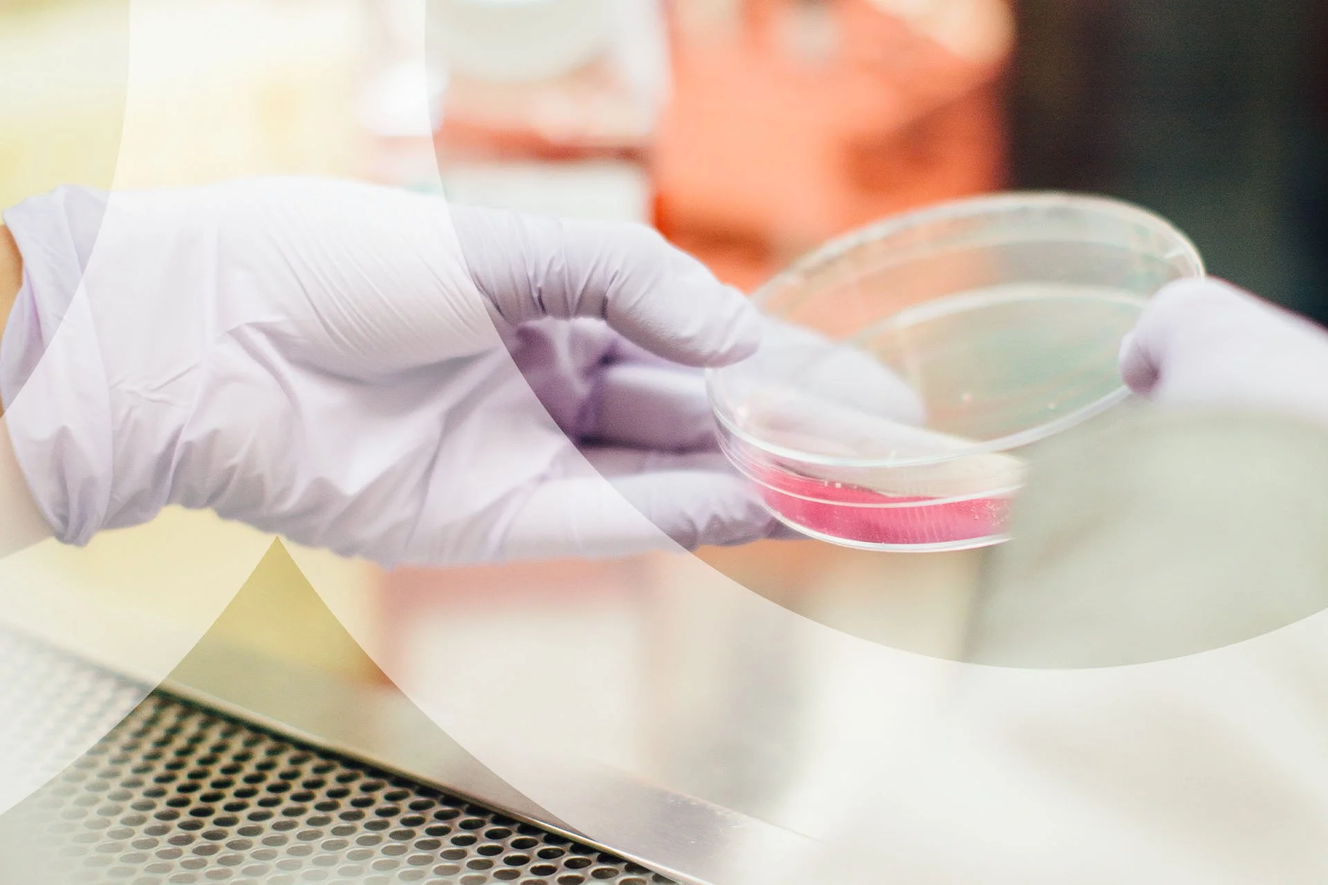 Biomedisch onderzoek — Stichting Long COVID