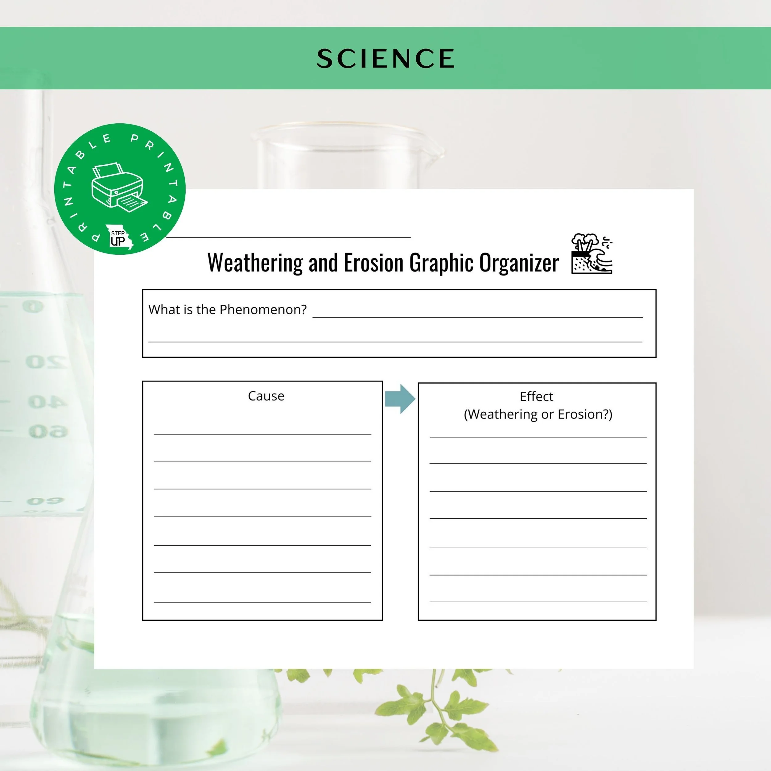 Weathering and Erosion Cause and Effect Graphic Organizer — STEP Up