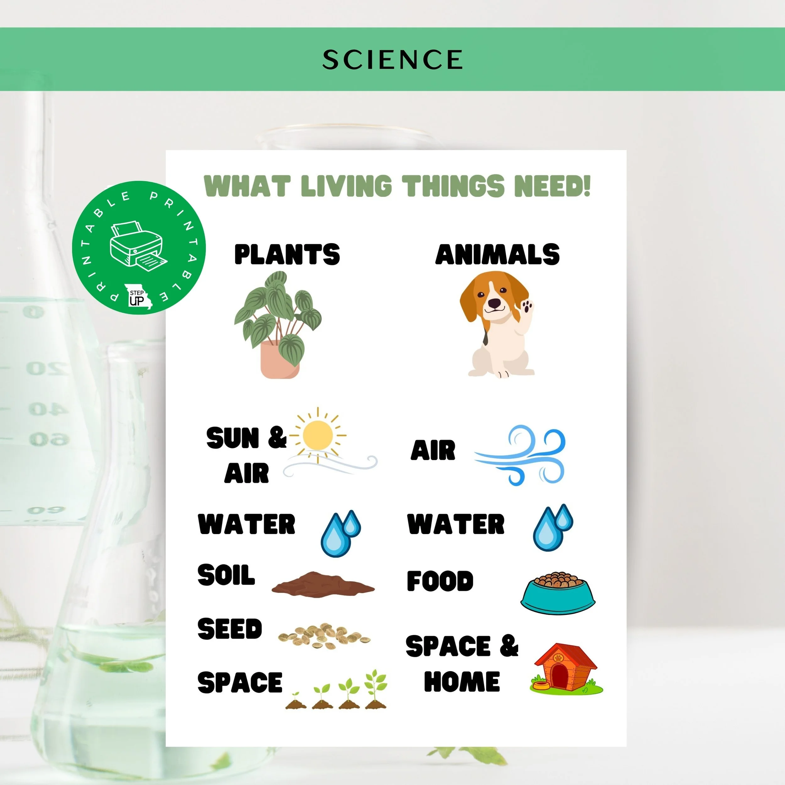 What Living Things Need | Plant & Animal Survival Guide — STEP Up