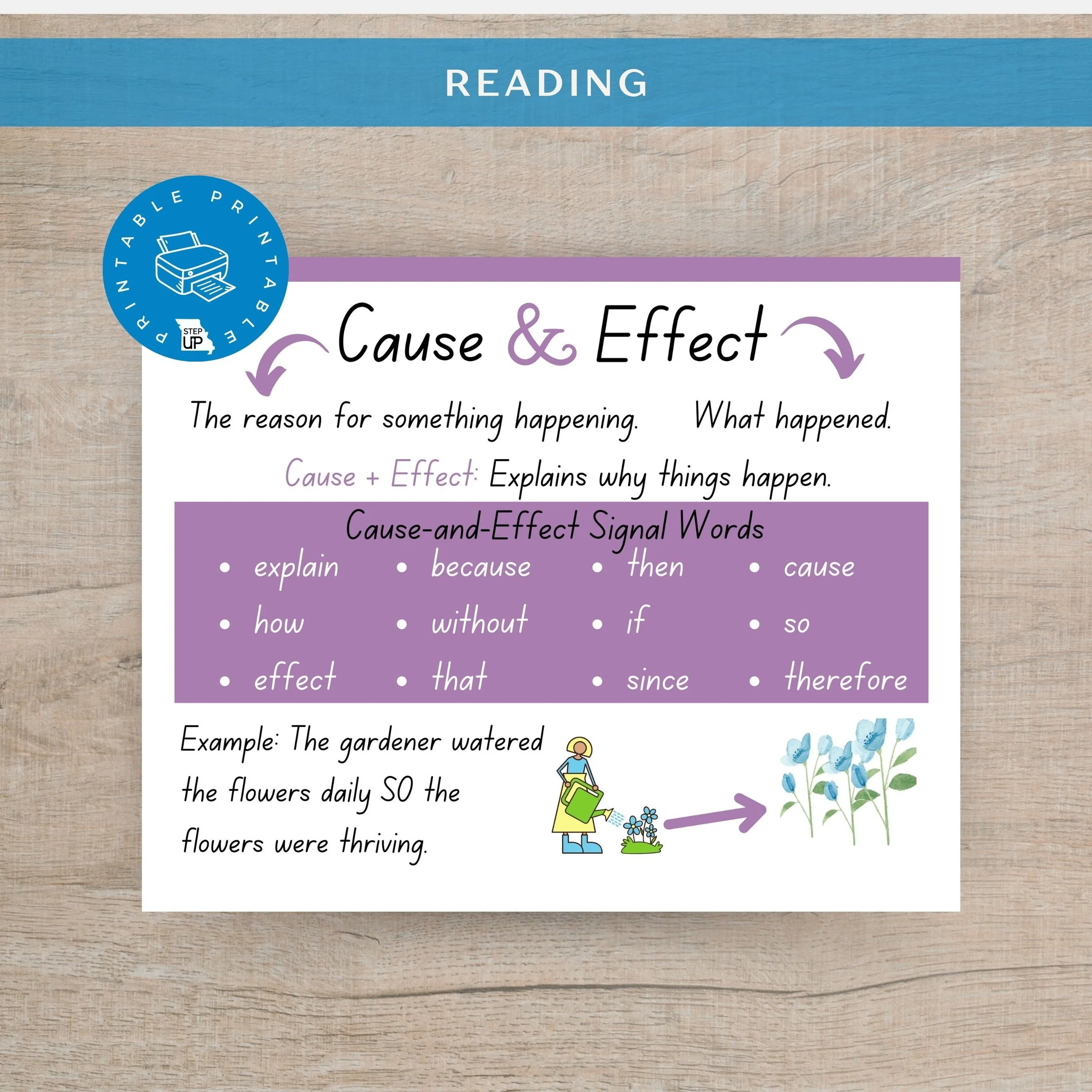 Cause and Effect Organizer | Action & Outcome Visual Guide — STEP Up