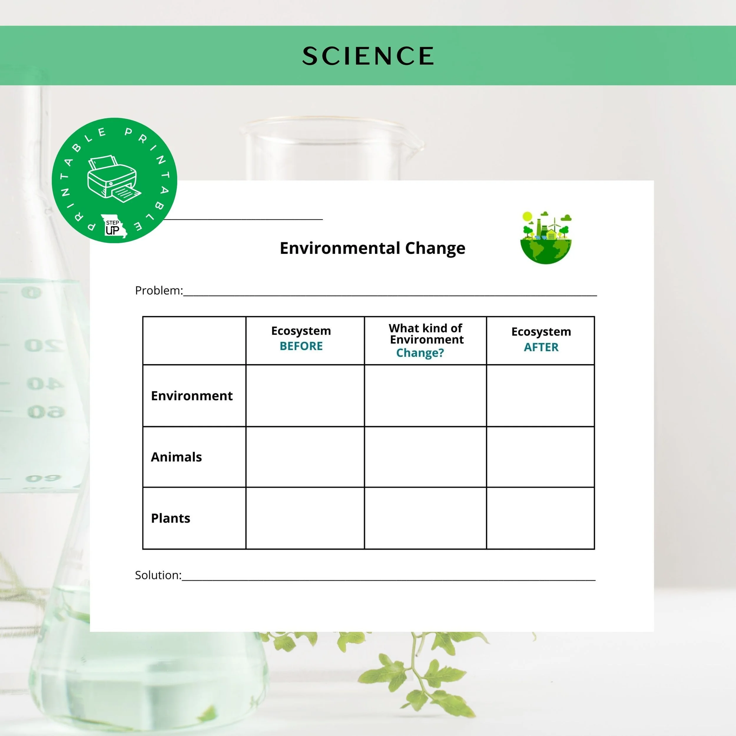 Environmental Change & Ecosystems Worksheet | Before & After — STEP Up