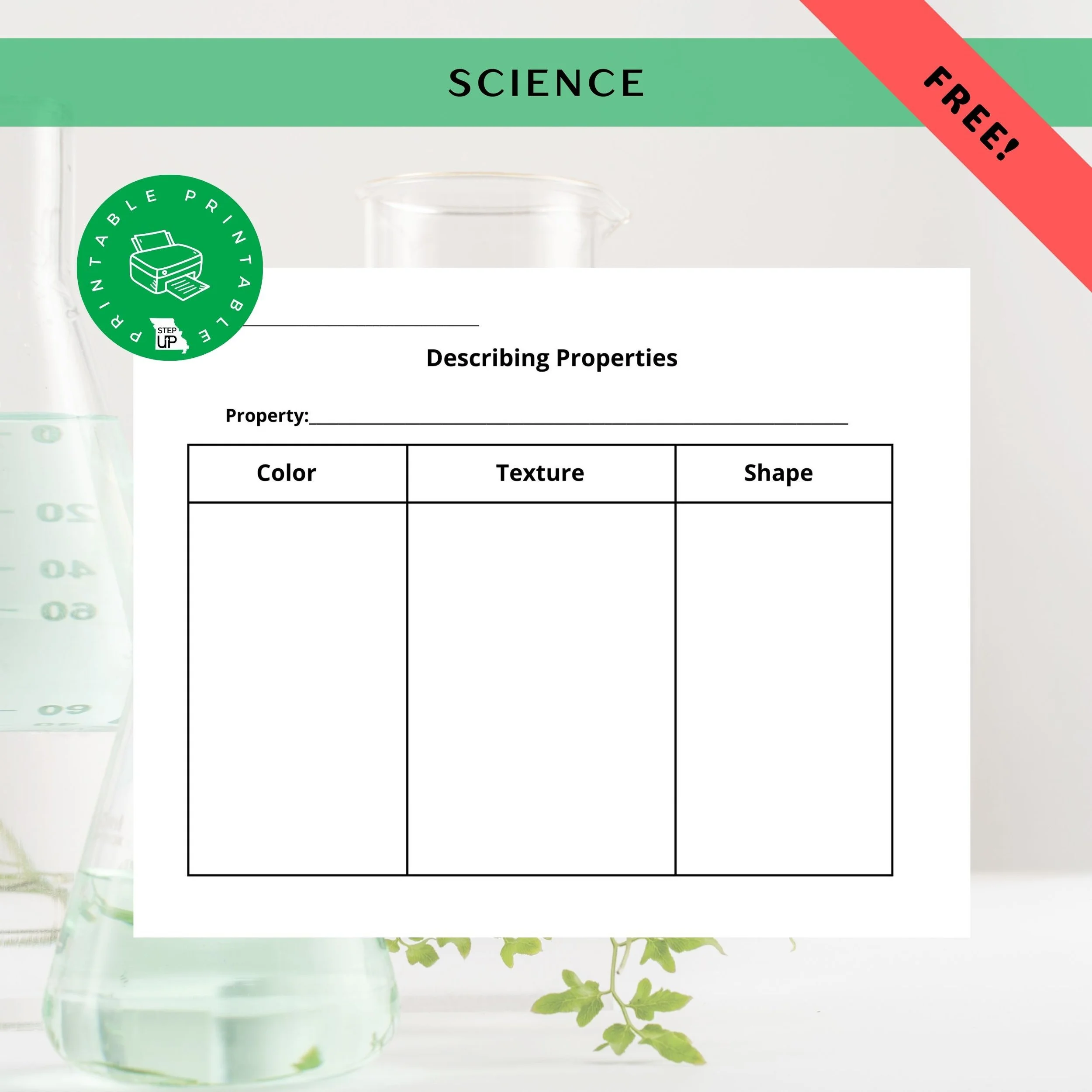 Describing Properties Graphic Organizer | Color, Texture, & Shape Chart ...