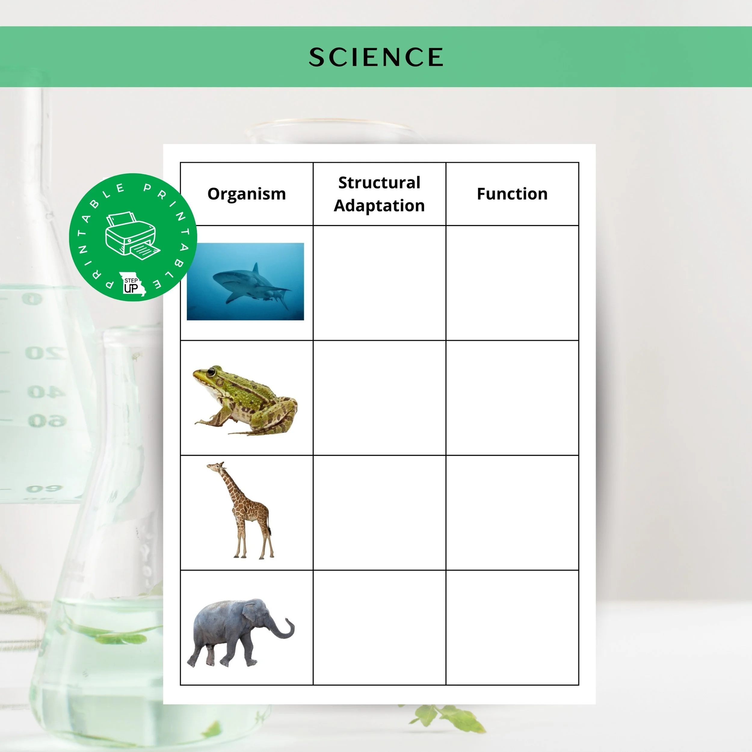 Animal Structural Adaptations Organizer | Form and Function — STEP Up