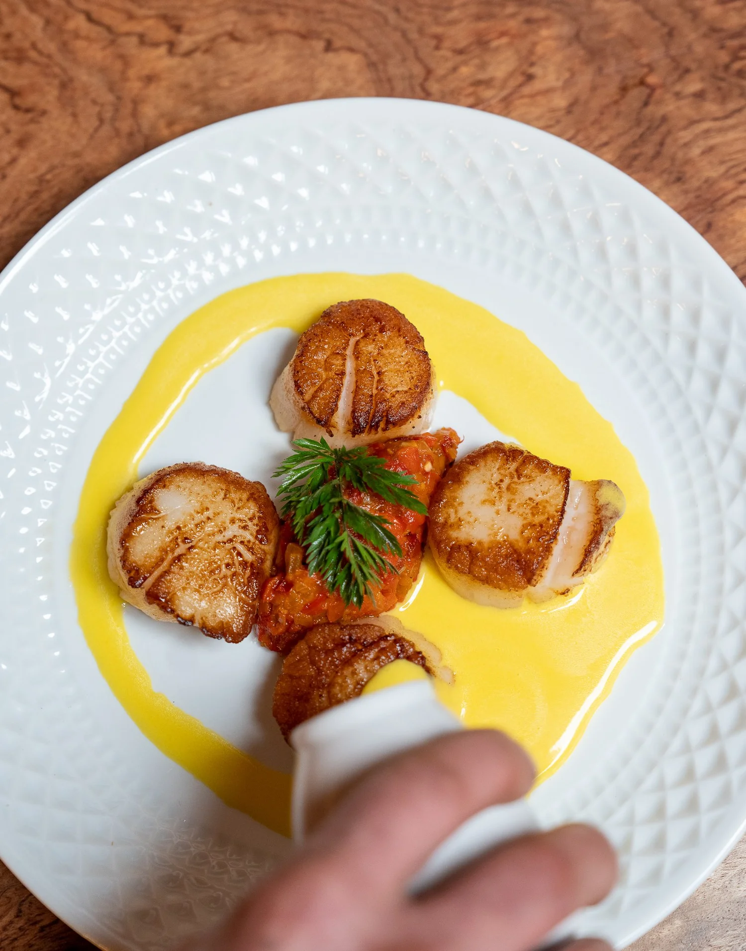 Meet every occasion with a new menu and refreshed approach at Coquette ...