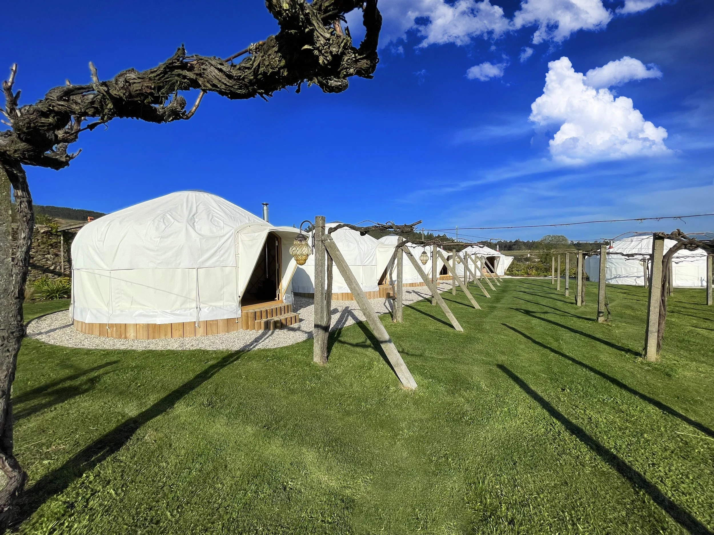 Room(s) with a view: Casa Beatnik, a designer's dream destination ...