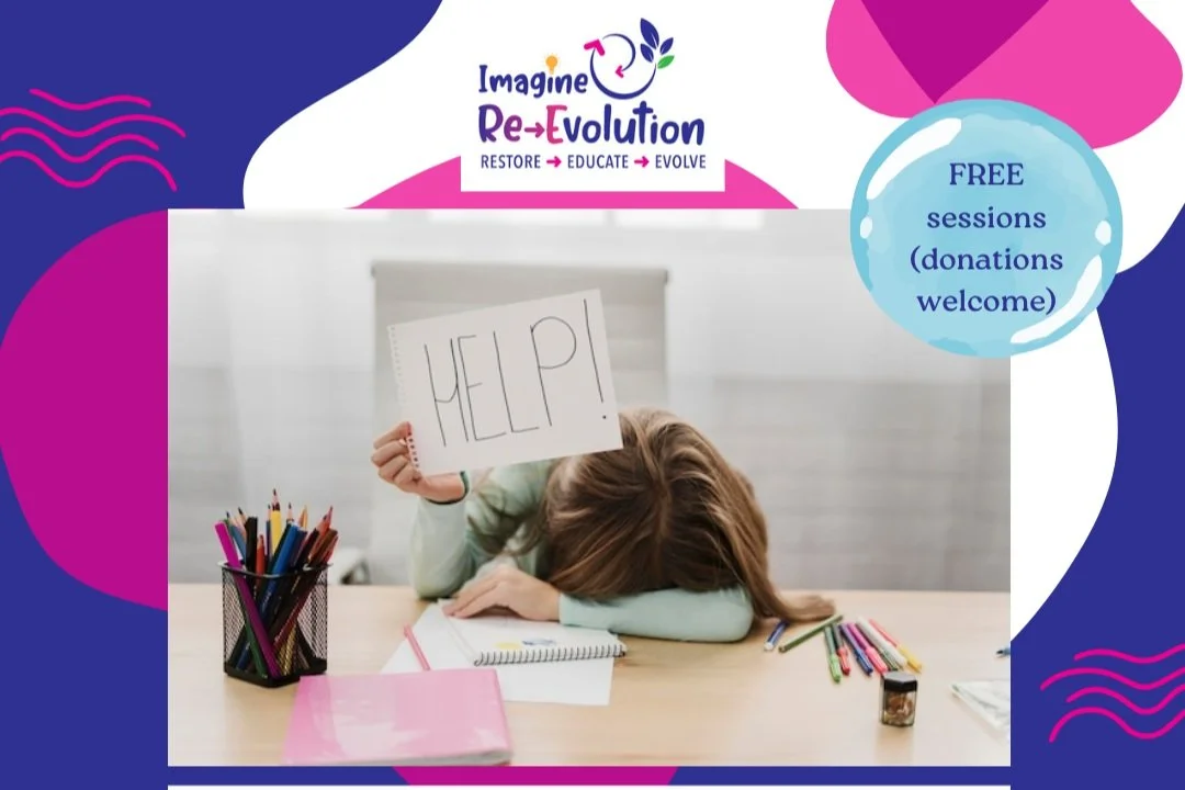 Our Programs — Imagine Reevolution Ltd
