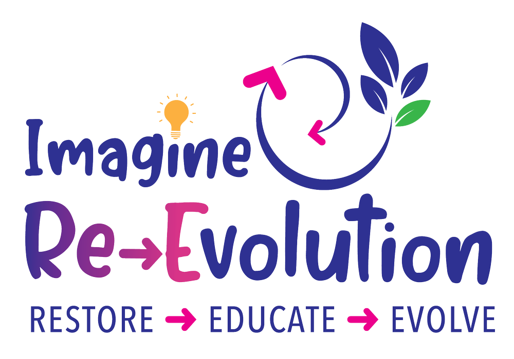 Imagine Reevolution Ltd