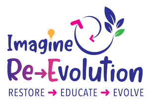 Imagine Reevolution Ltd