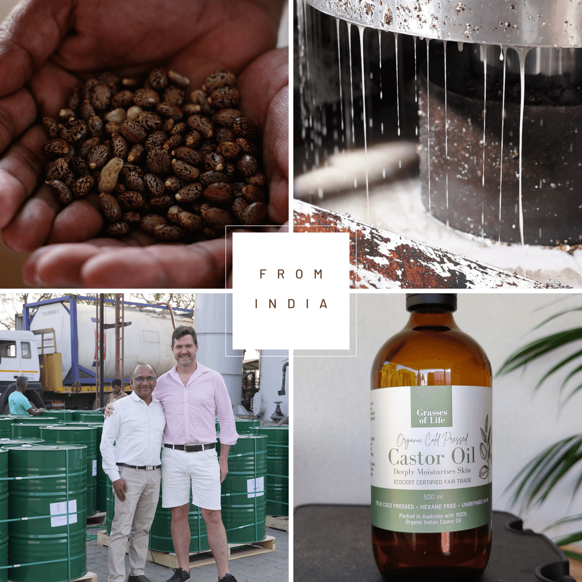 Why Grasses of Life Founder Traveled to India for Organic Castor Oil ...