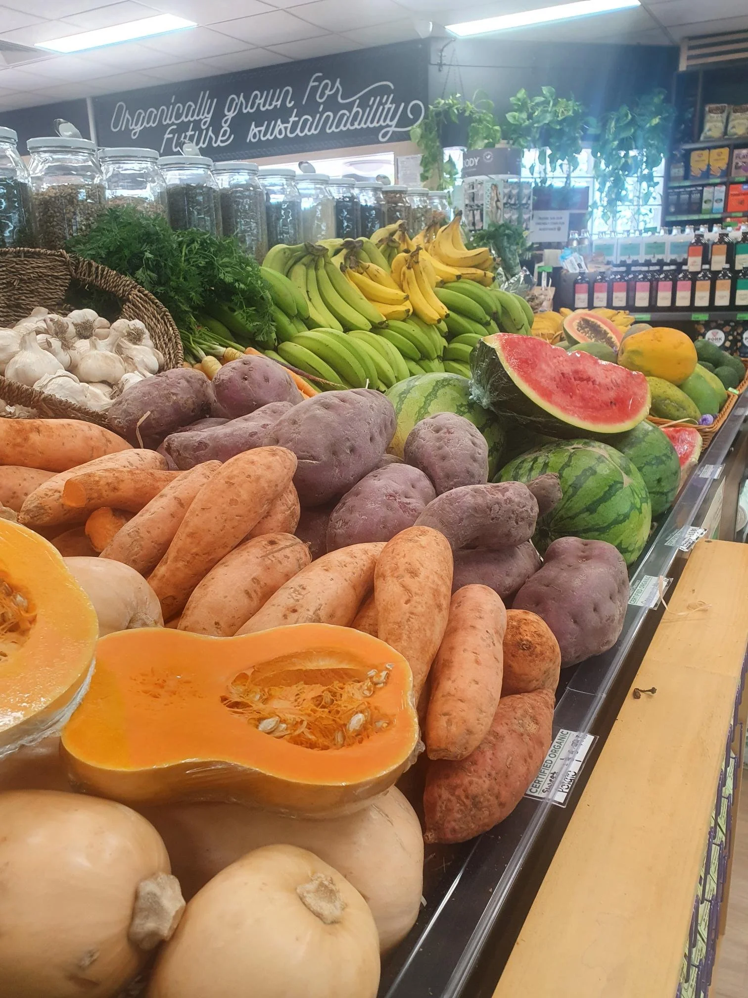 Celebrate World Health Day by Switching to Organic — Market Organics