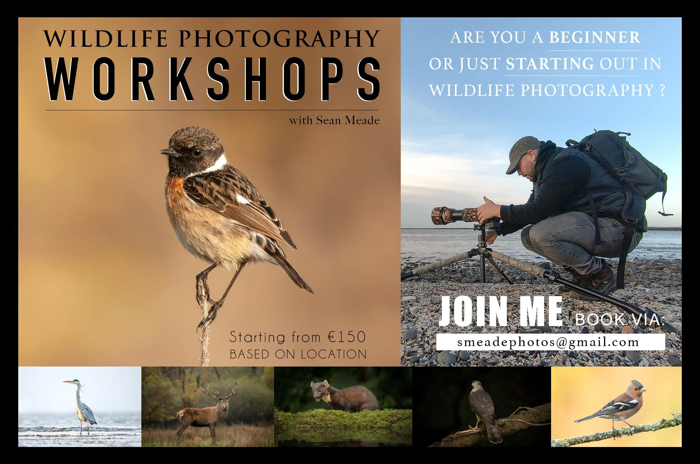 Workshops — Sean Meade