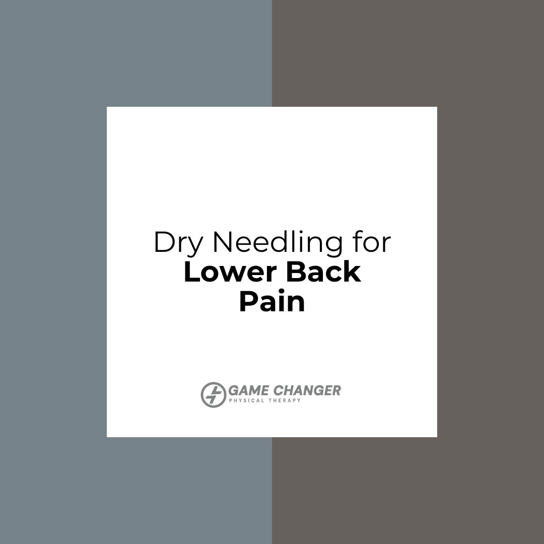 Dry Needling for Lower Back Pain — Game Changer Physical Therapy