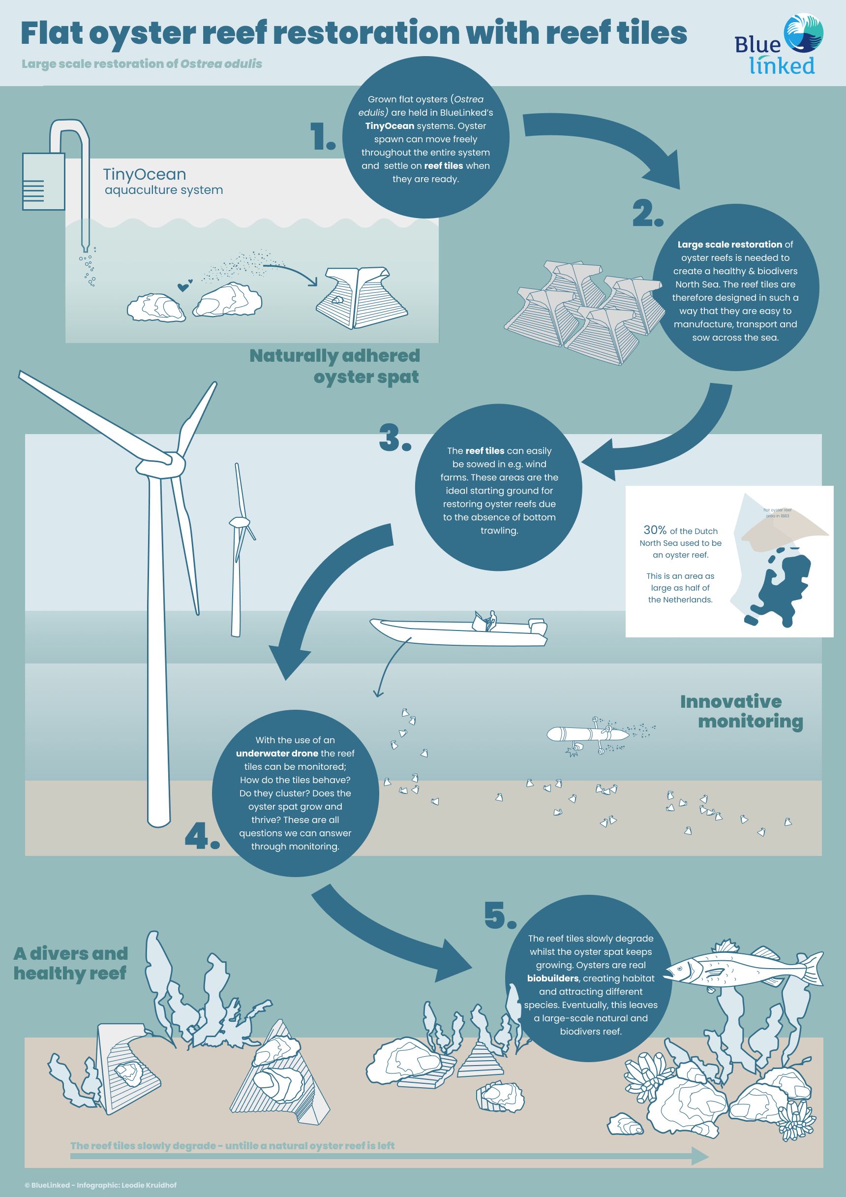 BOOST — BlueLinked