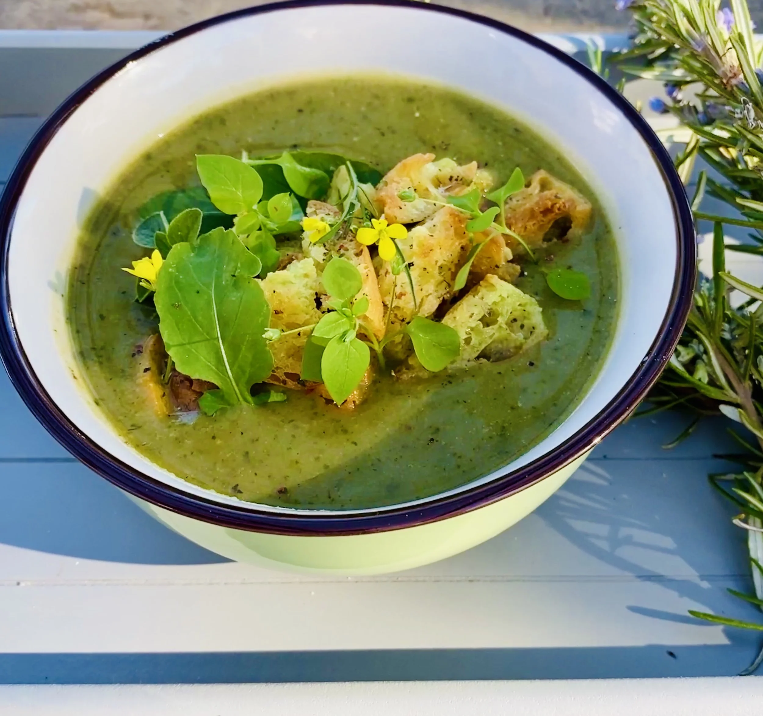 Wild Foraged Soup - nature at it's very best — Campo JacOff-grid ...