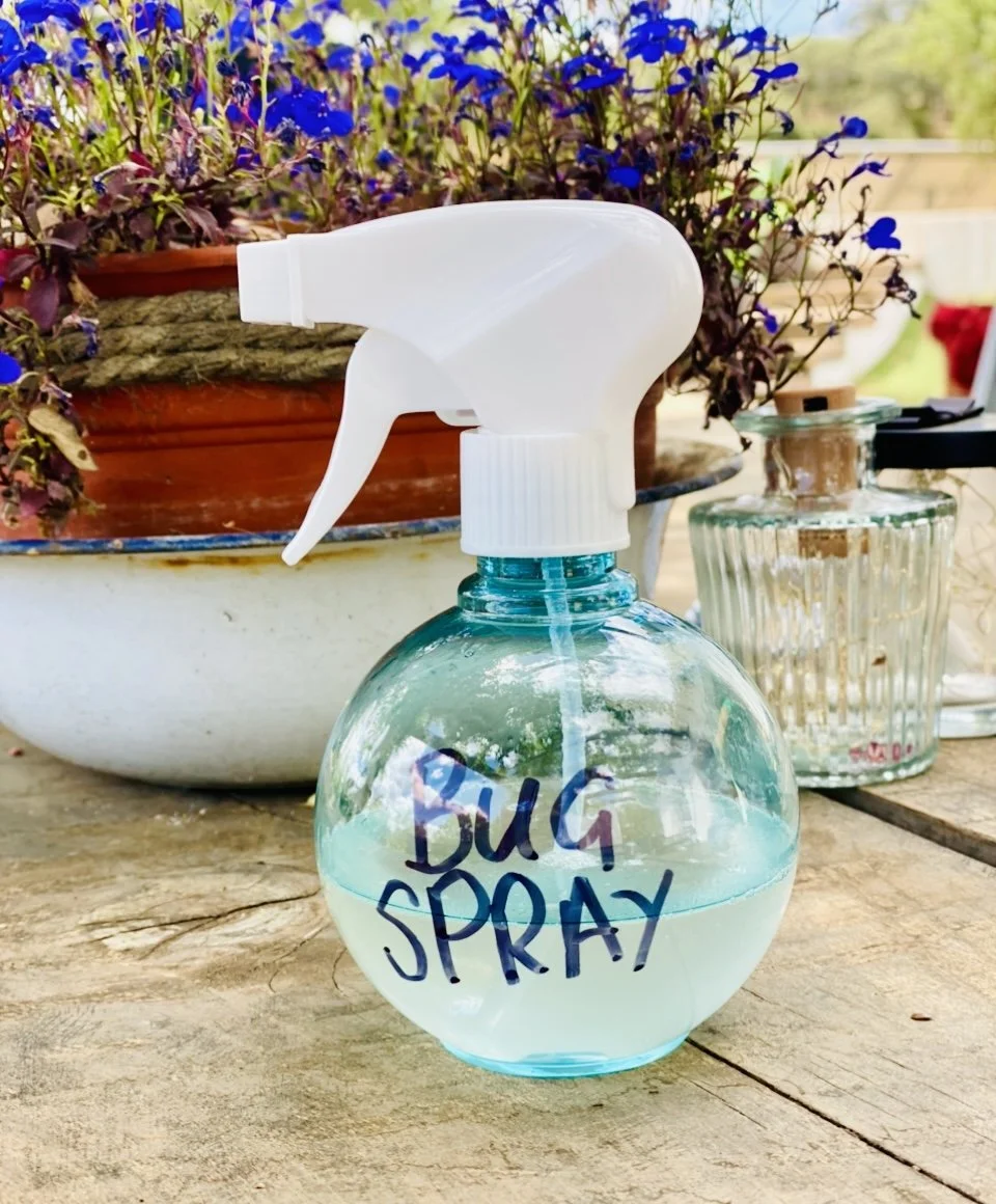 Natures remedies for repelling bugs in the campo — Campo JacOff-grid ...