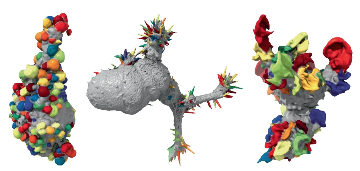 Enabled by BioHPC — BioHPC at UT Southwestern