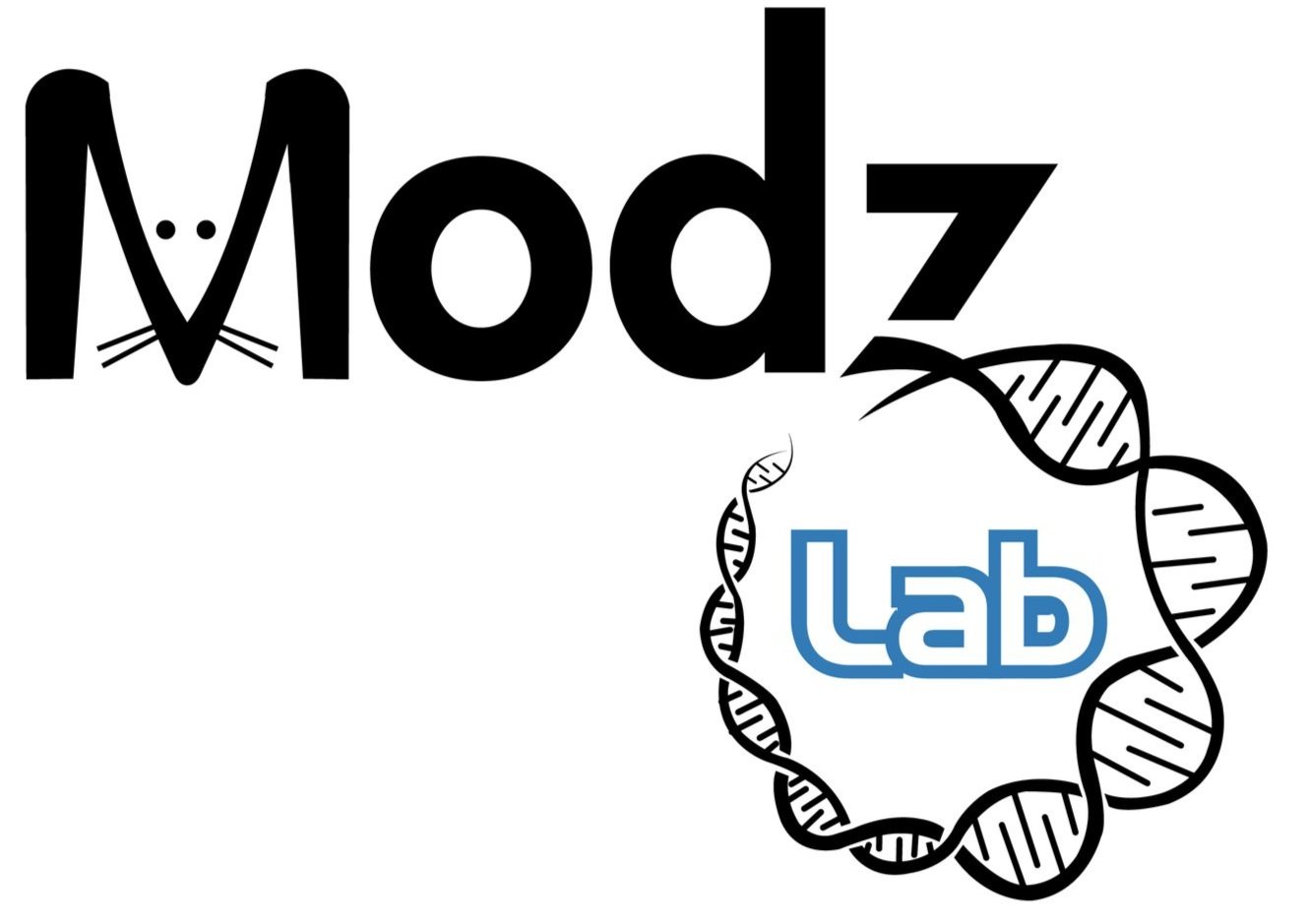 About — The Modz Lab