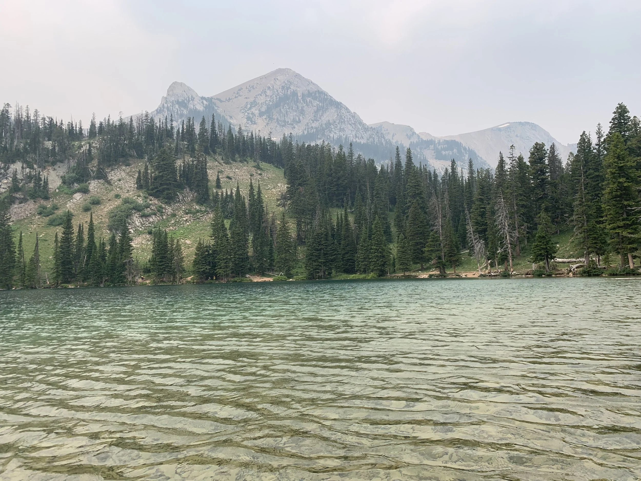 NEWS — Cameron Crossing