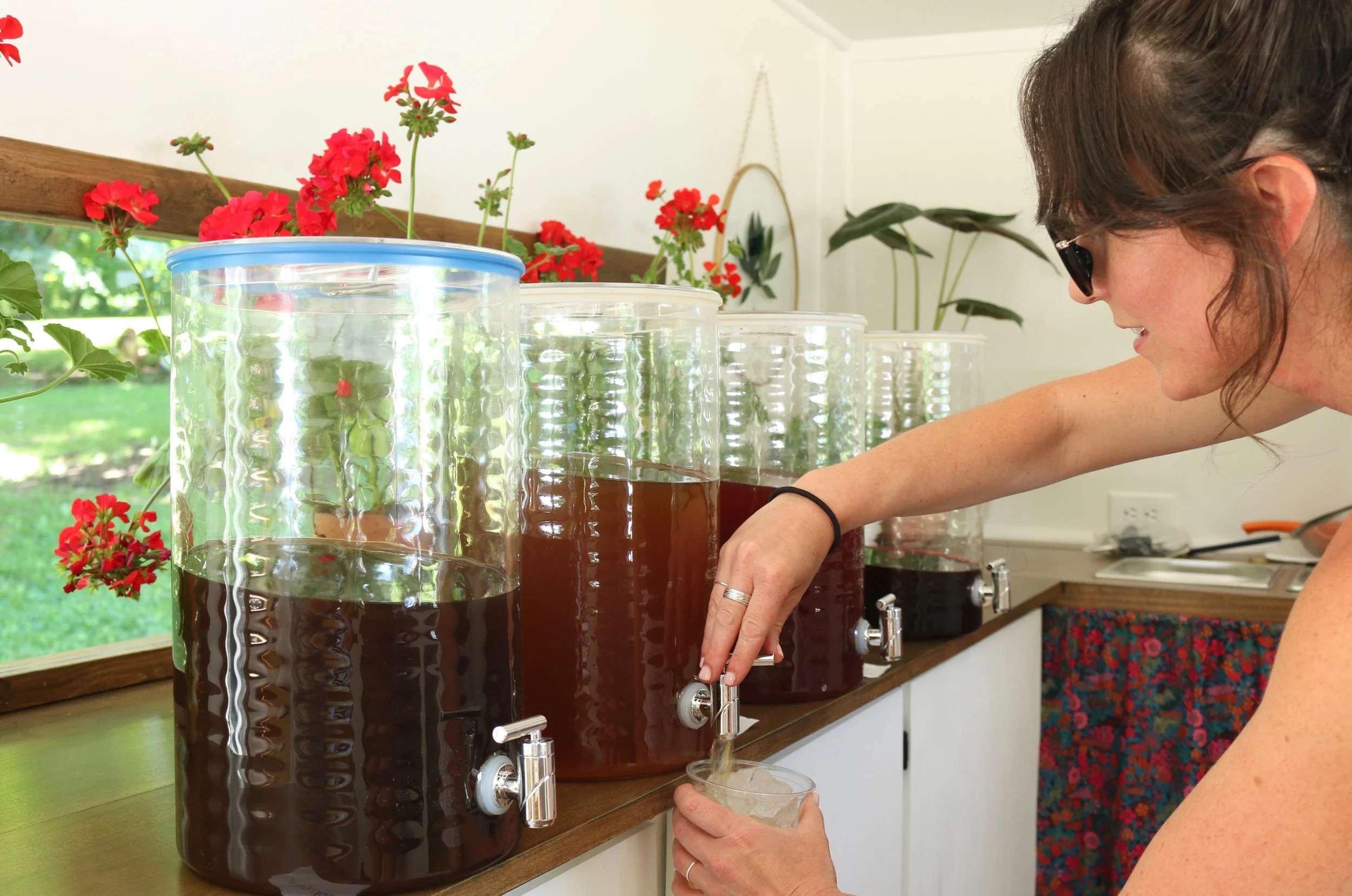 Gallery — The Botany Bar