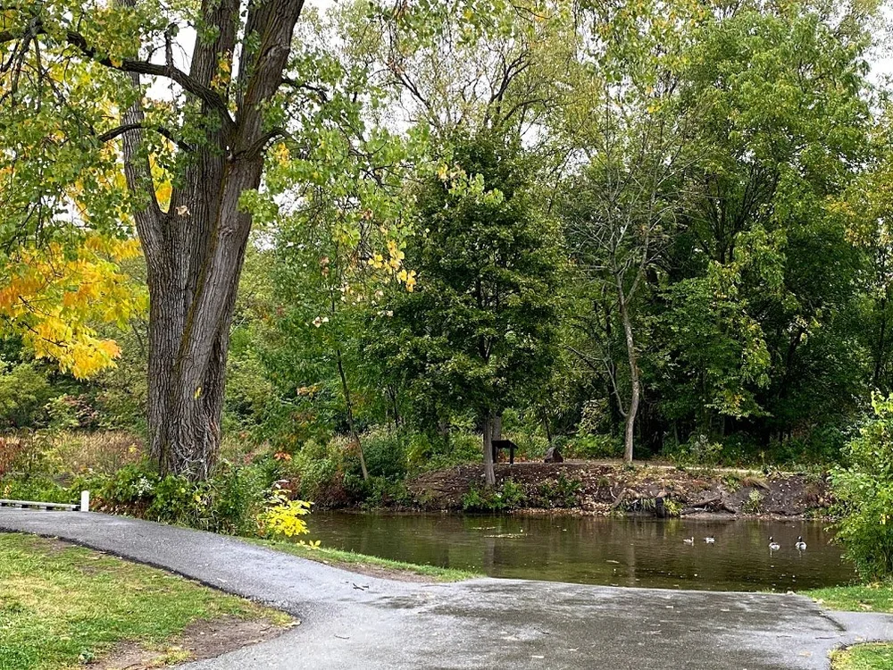 Board Members — Greater Delafield Community Fund